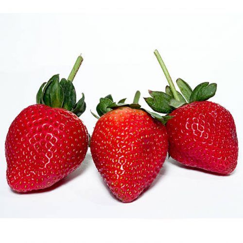 Berries • Euro-Atlantic